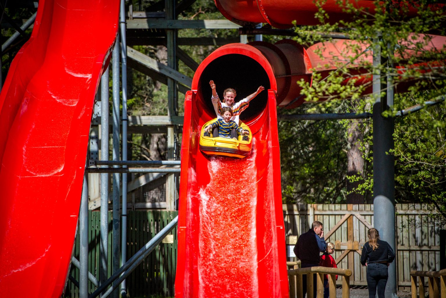 Escape to the Highlands - Food and Drink Experiences - Landmark Forest ...